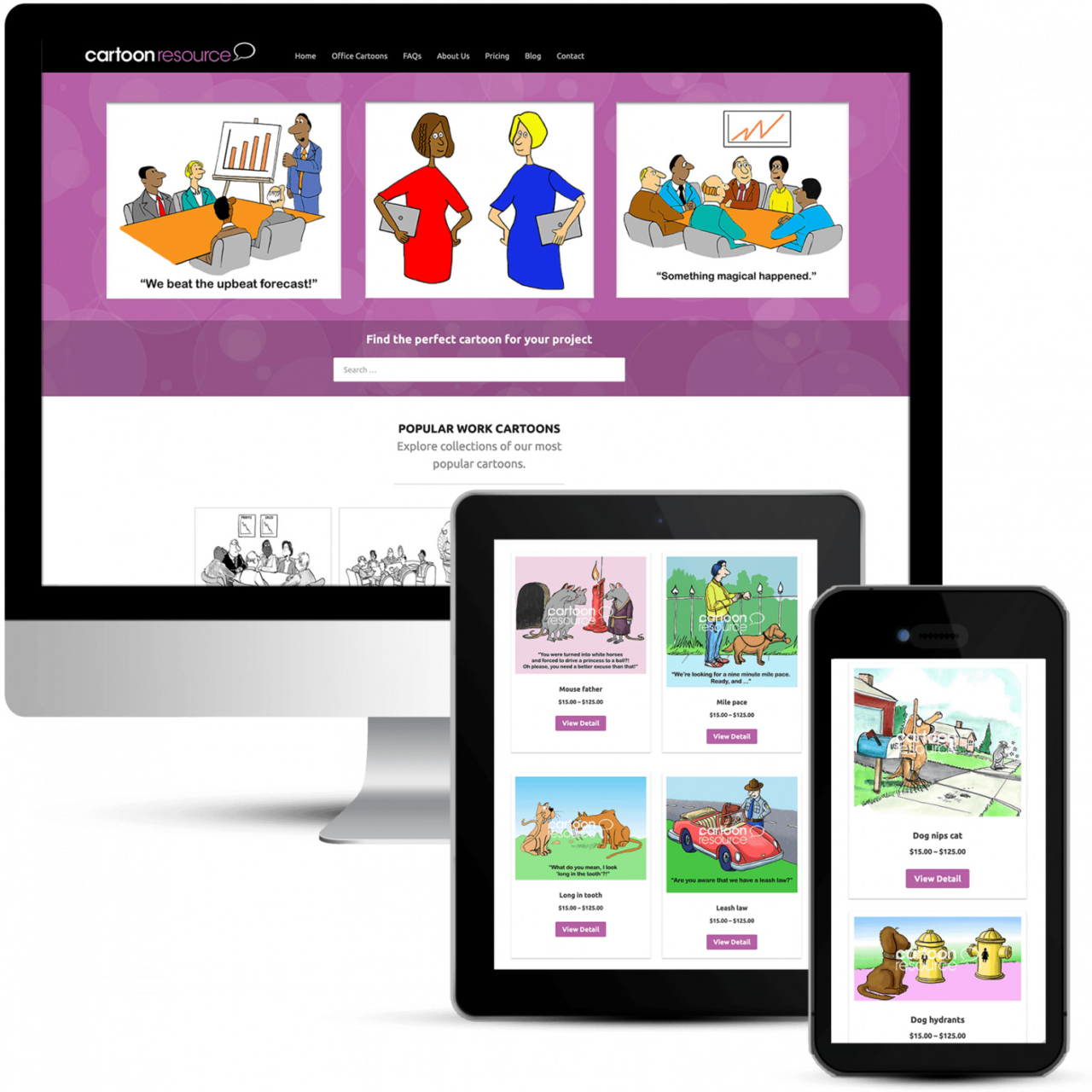 Cartoon Resource eCommerce Online Shop - polished captivating web design